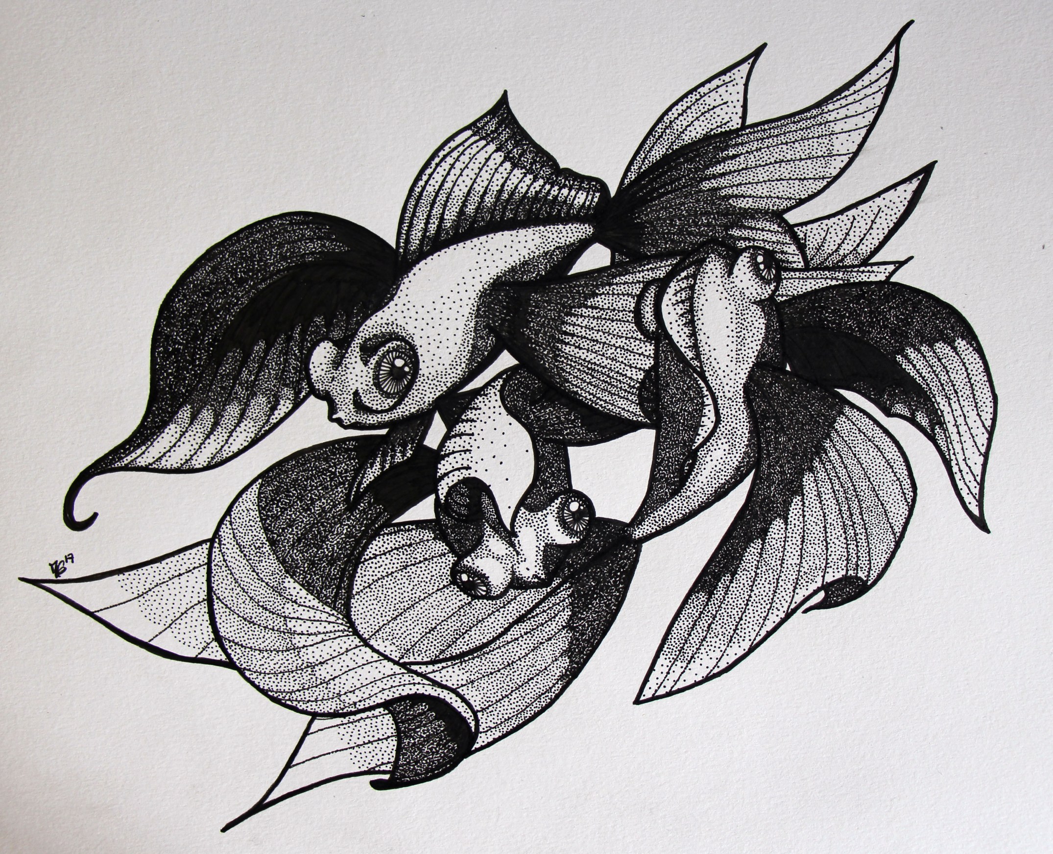 LES GROS YEUX [FEUTRES] – Marine calandra